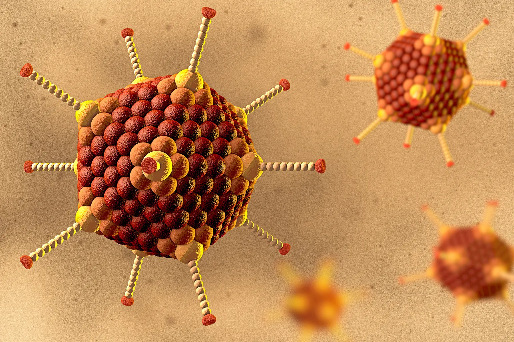 Optimizing HEK293 cell cultures for gene therapy applications: the role ...
